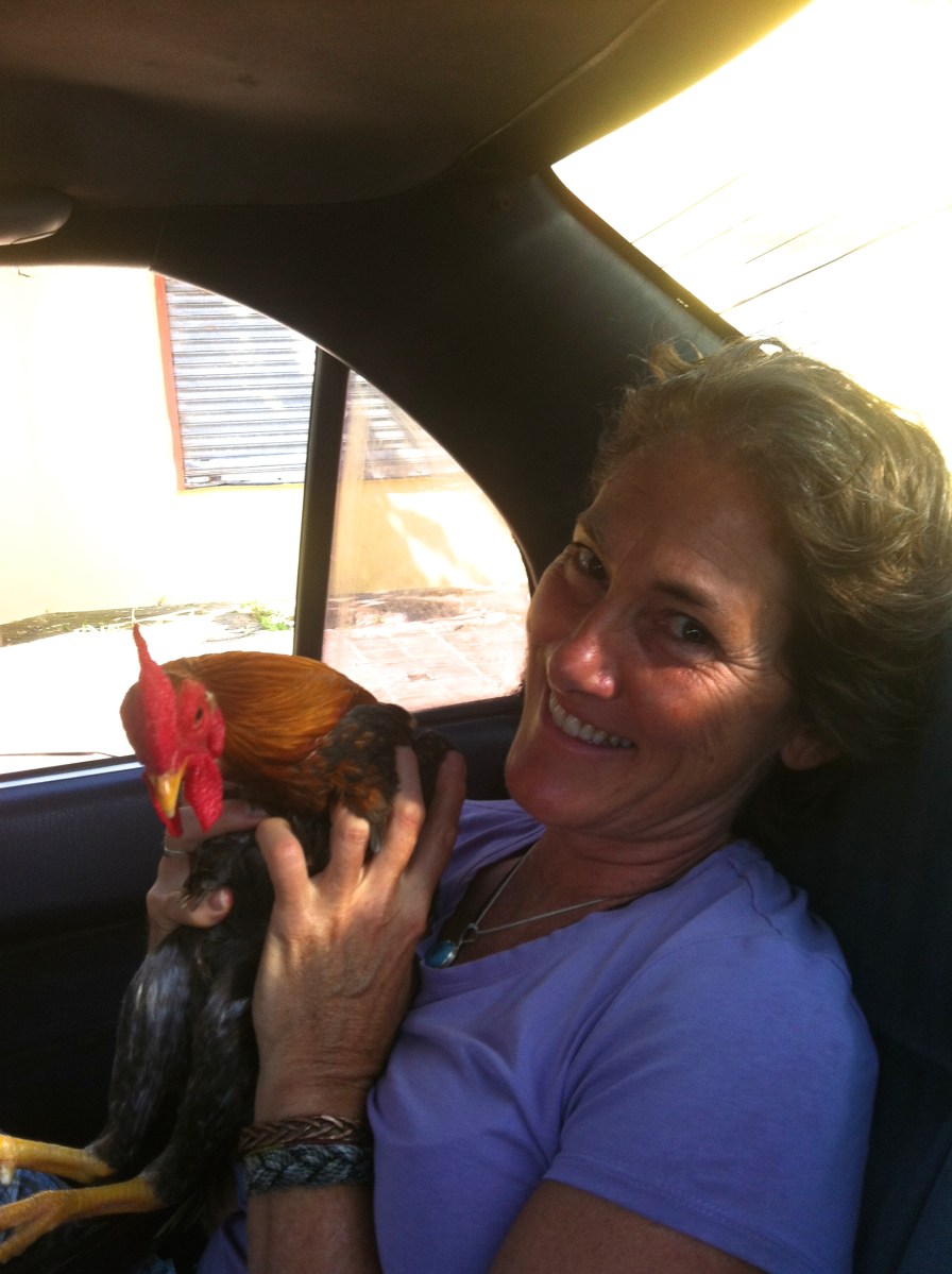 “Chicken Taxi” – BiondiTravels